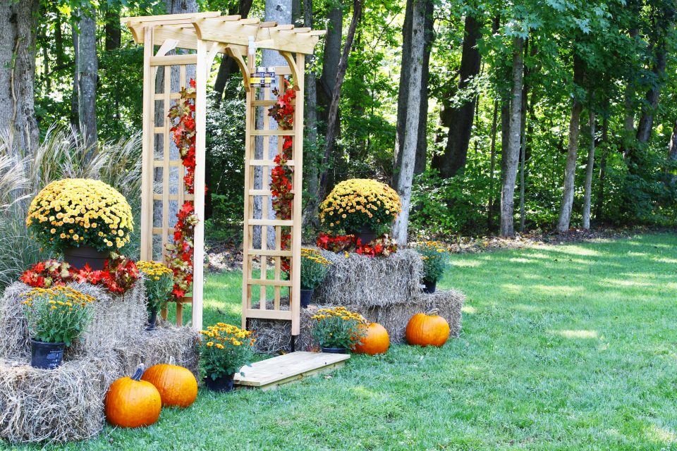 Fabulous DIY Fall Wedding Backdrops